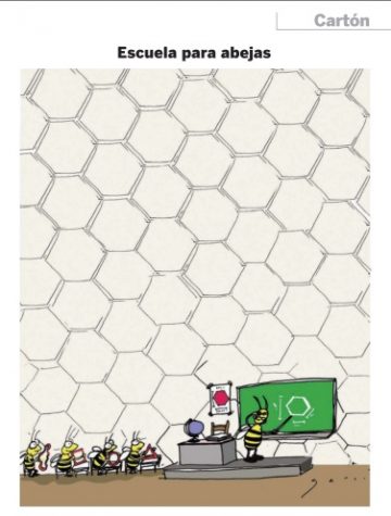 Escuela para abejas