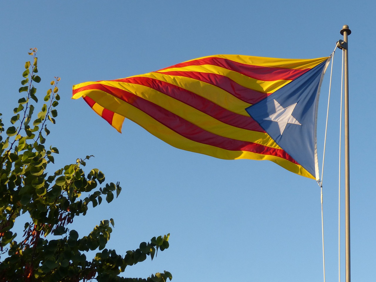 ¿Español o catalán?